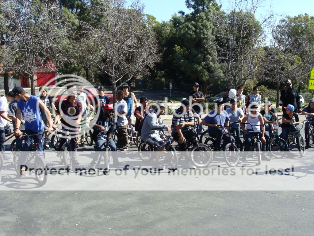 Tip Plus distro (Primo, Cult, more...) team stopped by East County BMX ...