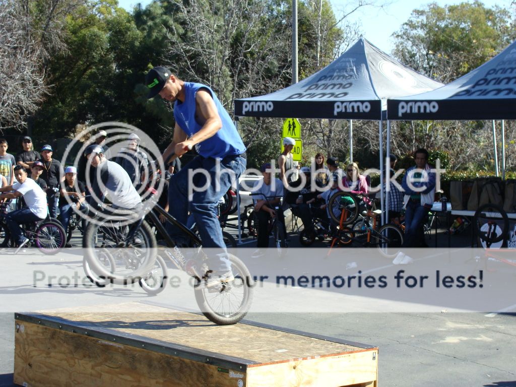 Tip Plus distro (Primo, Cult, more...) team stopped by East County BMX ...