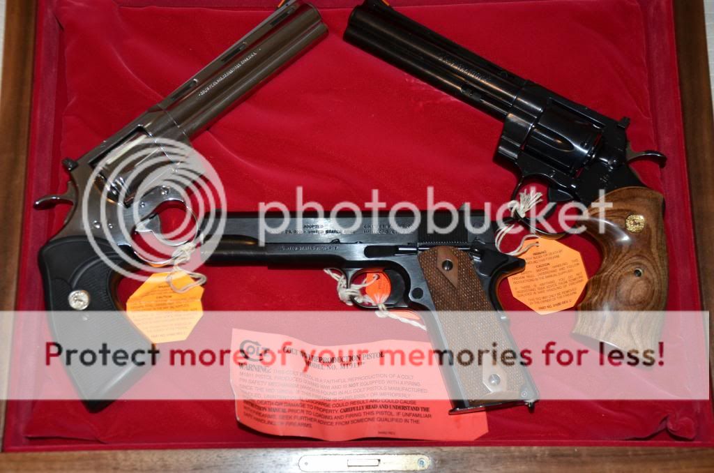 New Pythons | Colt Forum