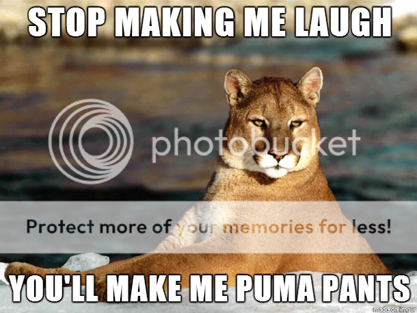 What do you call a mountain lion? | Page 5 | Telecaster Guitar Forum